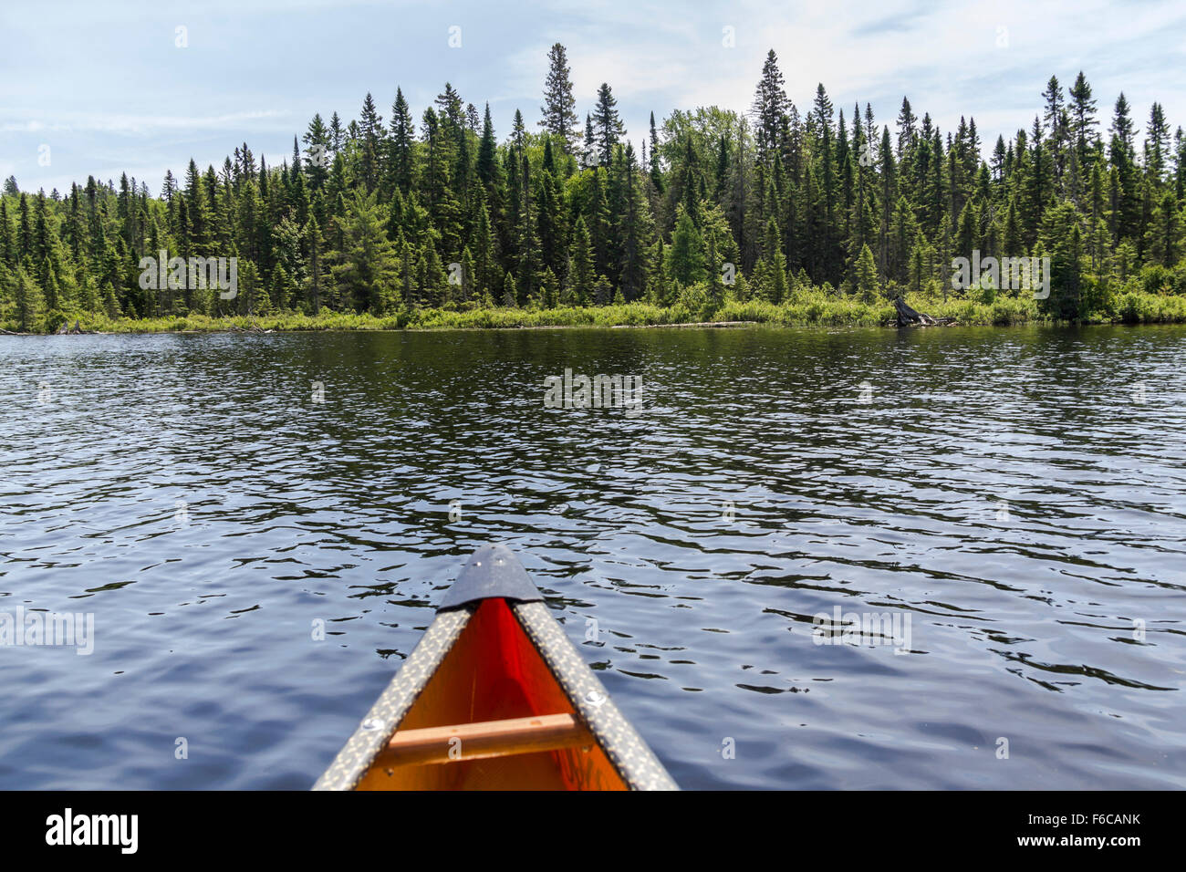 Algonquin Parc nature in Canada Stock Photo - Alamy