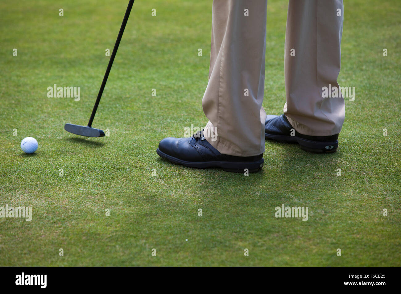 The feet club and ball of a golfer on a green as he putts for the hole ...