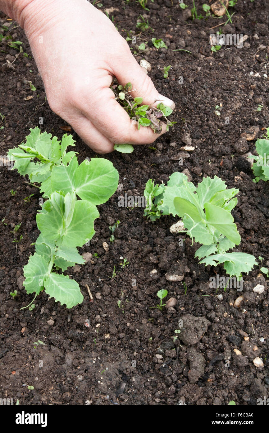 Cultivation spring hi-res stock photography and images - Alamy