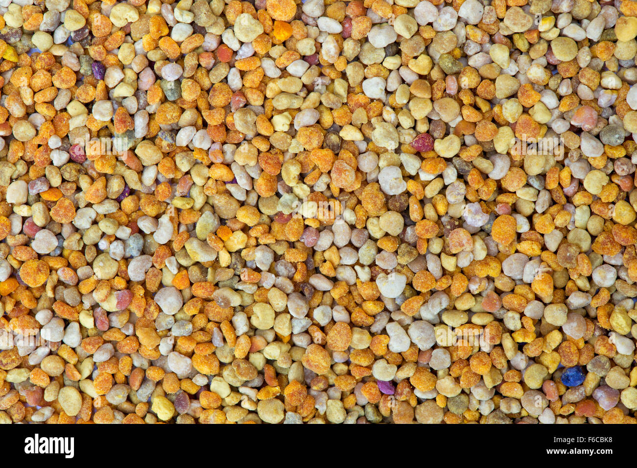 Pollen texture hi-res stock photography and images - Alamy