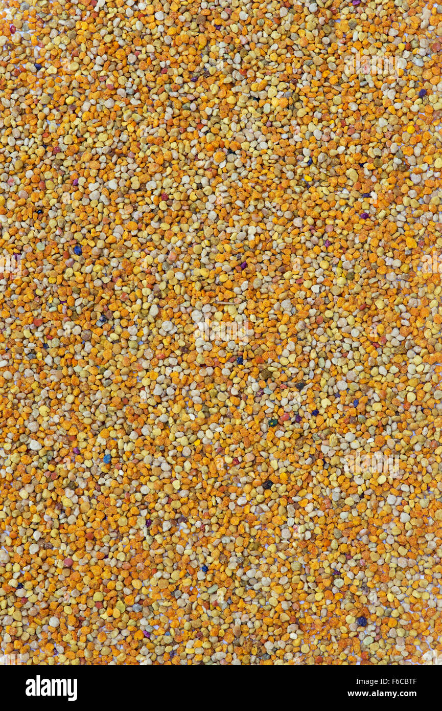 Pollen texture hi-res stock photography and images - Alamy