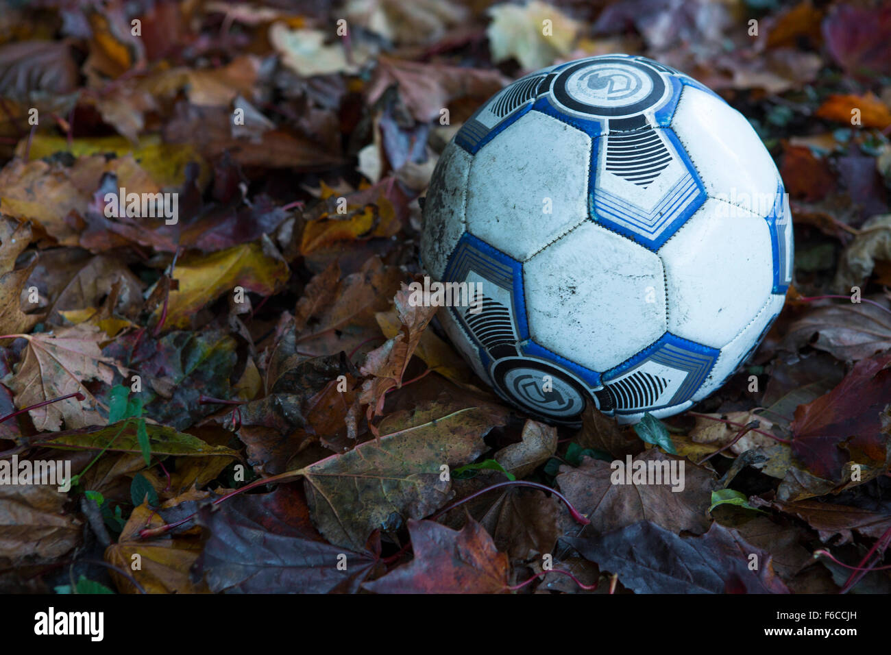 An old football left in the autimn leaves Stock Photo - Alamy