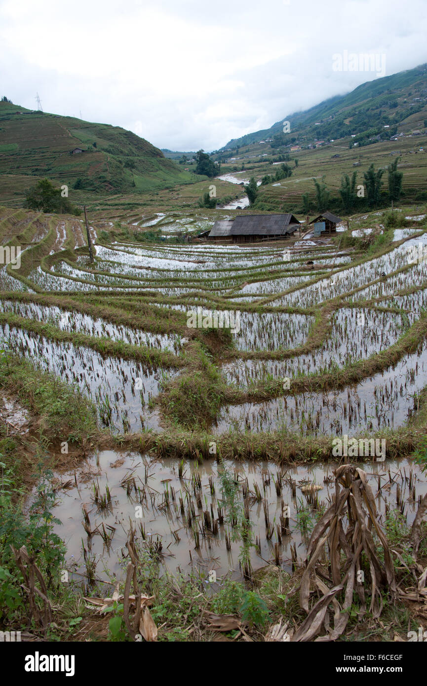 Tiered rice fields hi-res stock photography and images - Alamy