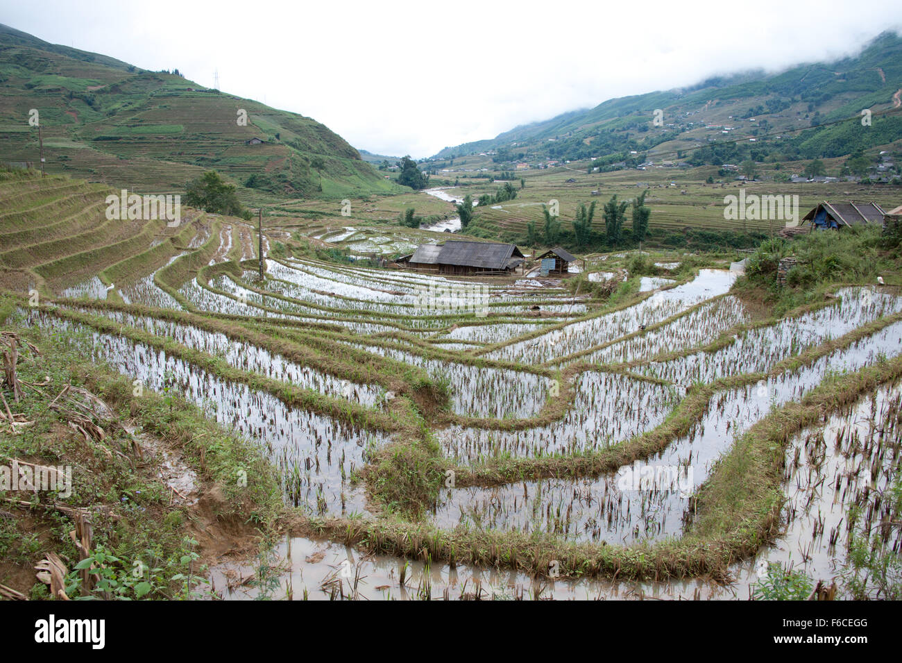 Tiered rice fields hi-res stock photography and images - Alamy