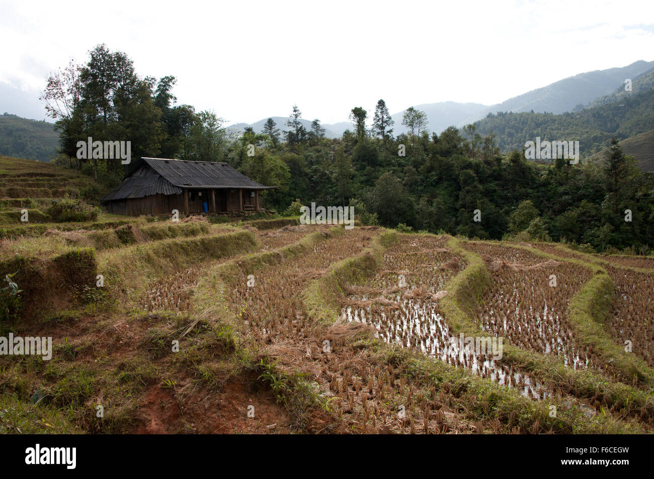 Tiered rice fields hi-res stock photography and images - Alamy
