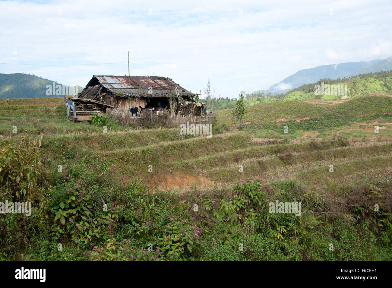 Sapa Valley Vietnam Stock Photo - Alamy
