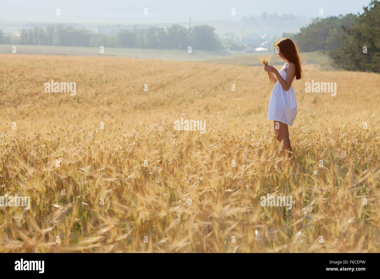 Beautiful woman on the corn field Stock Photo - Alamy