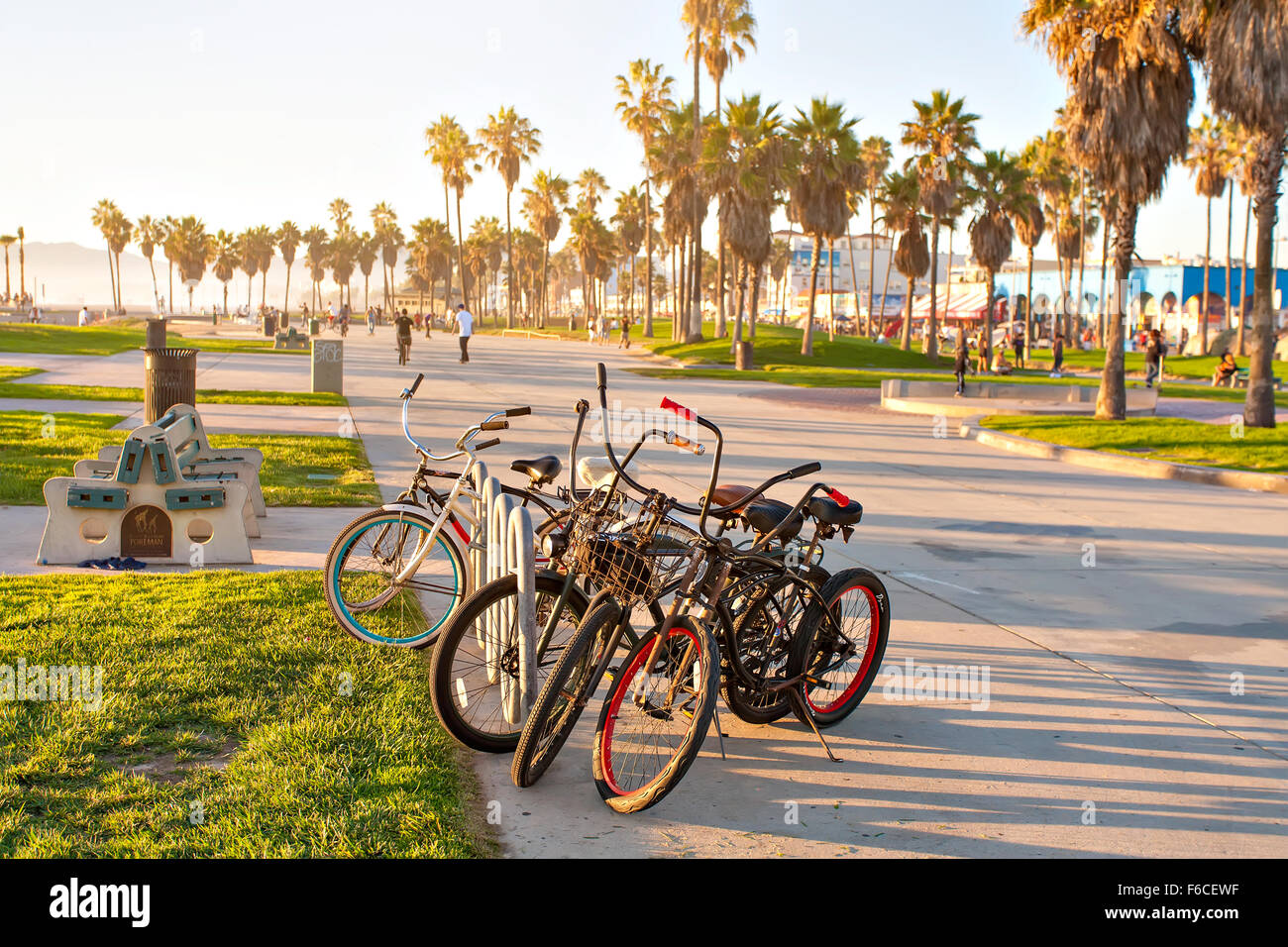 Bicycles on Venice Beach in Los Angeles California Stock Photo - Alamy
