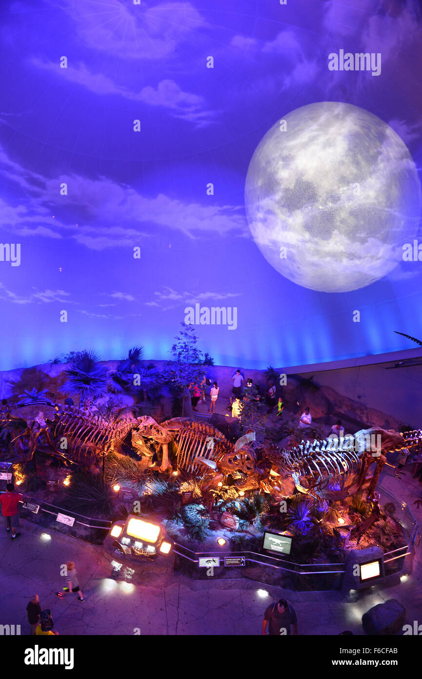 Dinosaur exhibit museum hi-res stock photography and images - Alamy