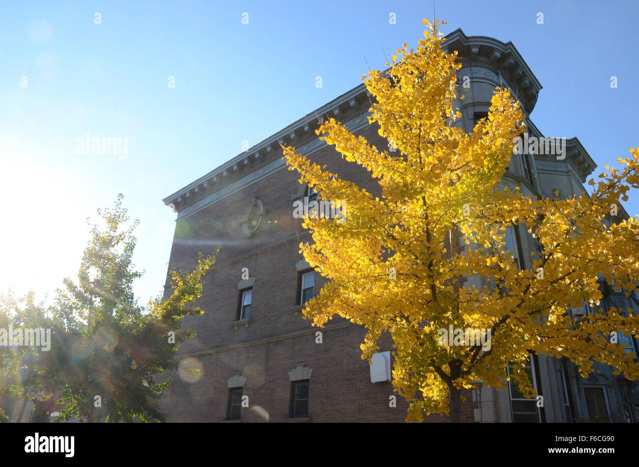 Slope gold hi-res stock photography and images - Alamy