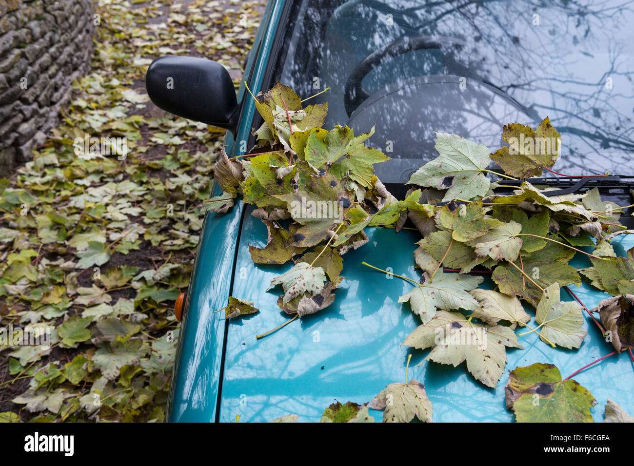 Autmn leaves fall on and around cars parked on the road side below ...