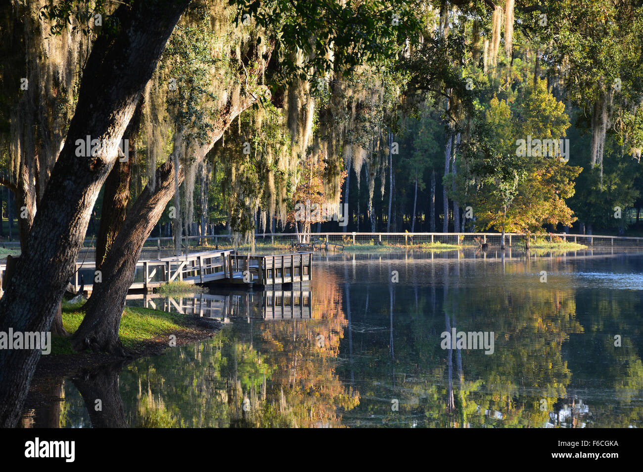 Beautiful autumn scene in Brooksville, Florida USA Stock Photo - Alamy