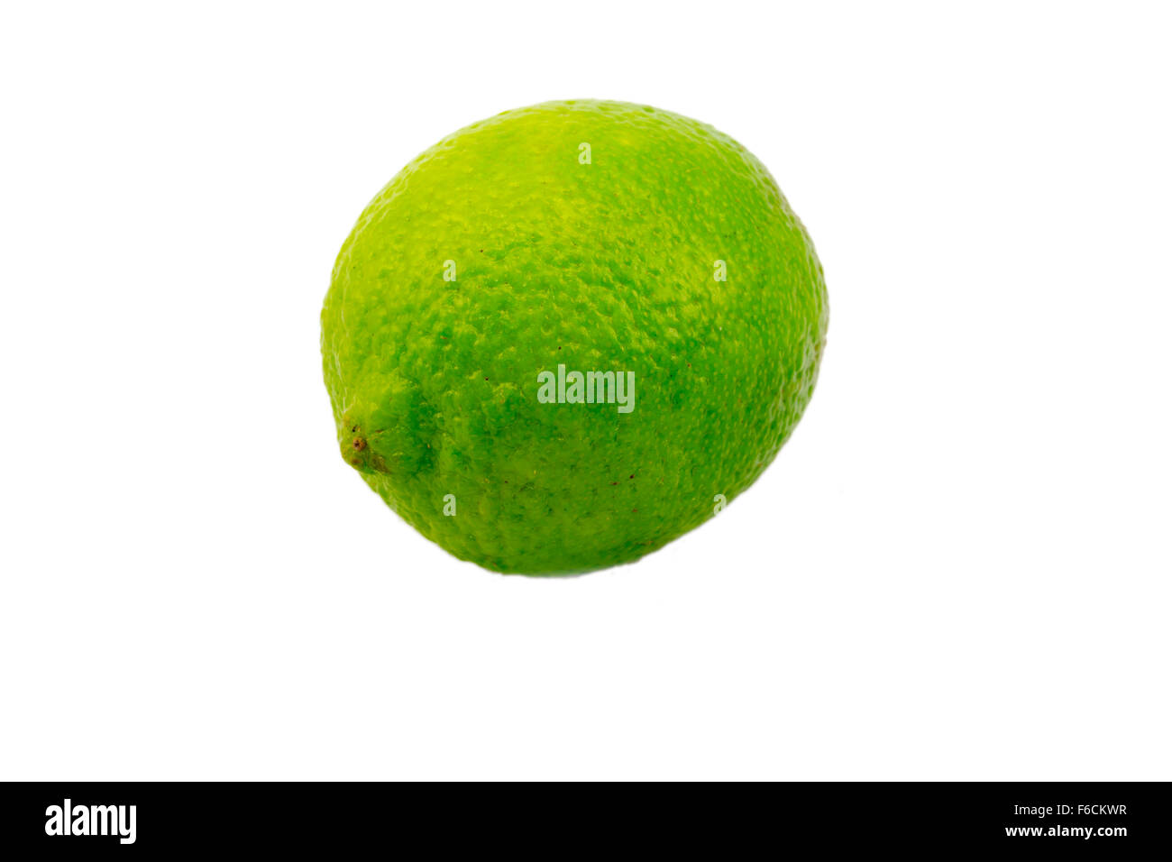 A single lime isolated against a white background Stock Photo - Alamy