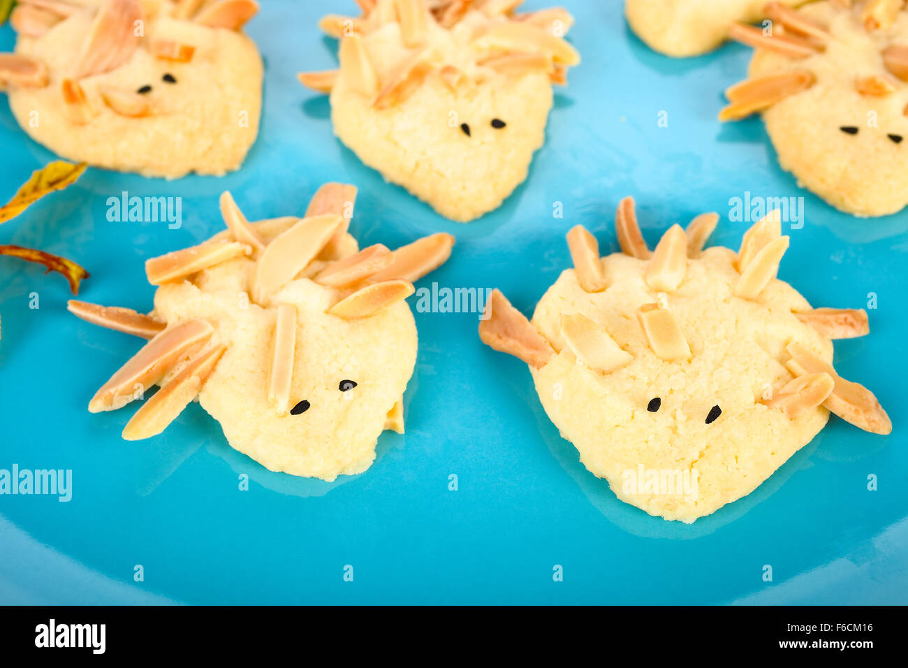Homemade hedgehog cookies on a plate Stock Photo - Alamy