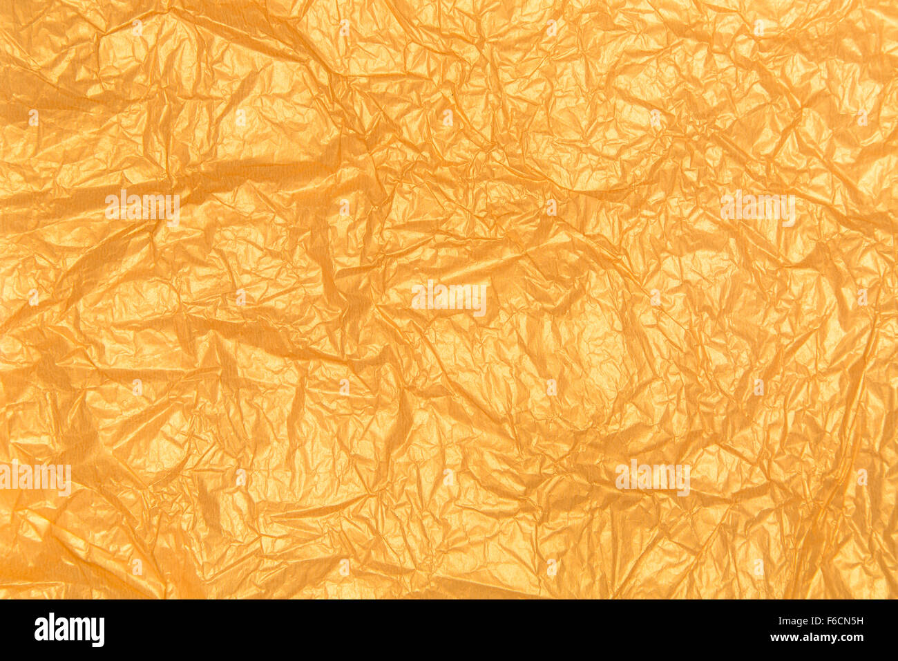 Glossy Paper Texture