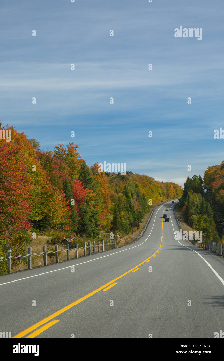 Peeping through the trees hi-res stock photography and images - Alamy