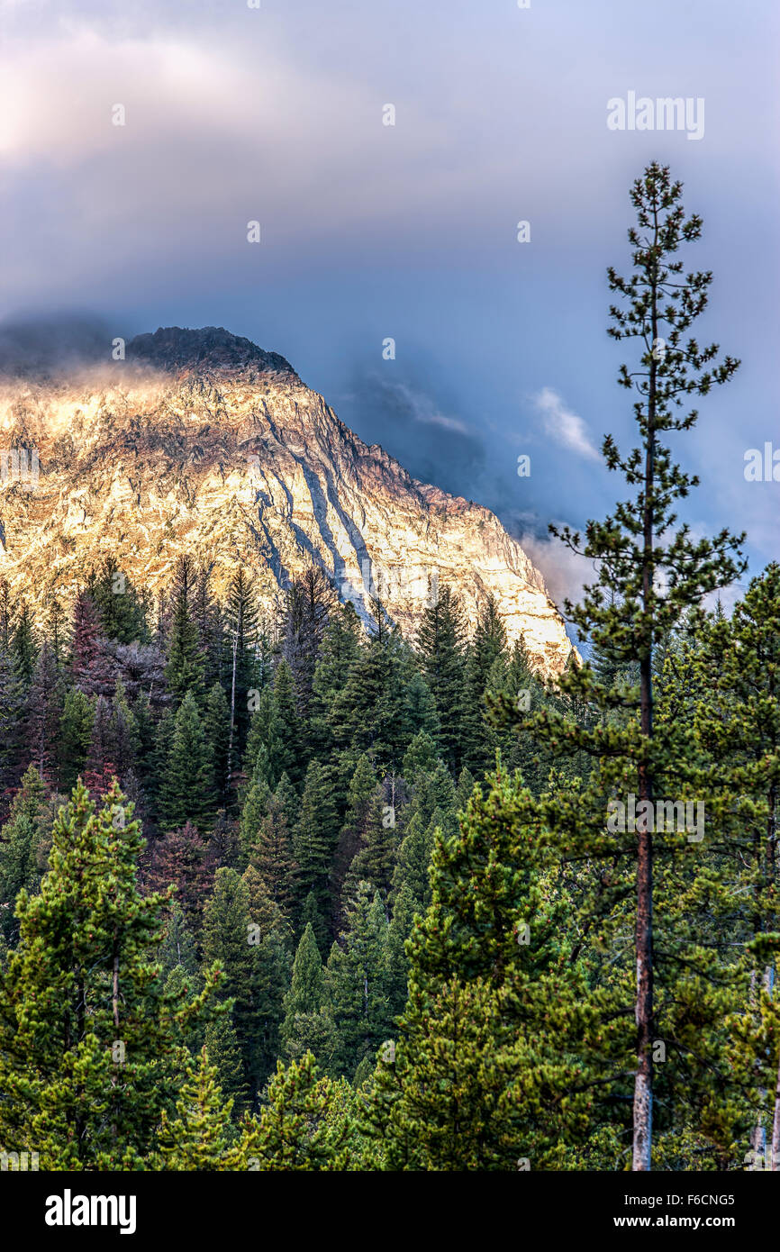 The forest and a mountain peak Stock Photo - Alamy