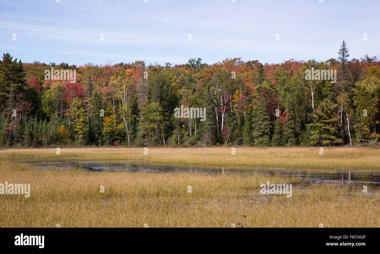 Autumn in Algonquin Provincial Park in Ontario, Canada Stock Photo - Alamy