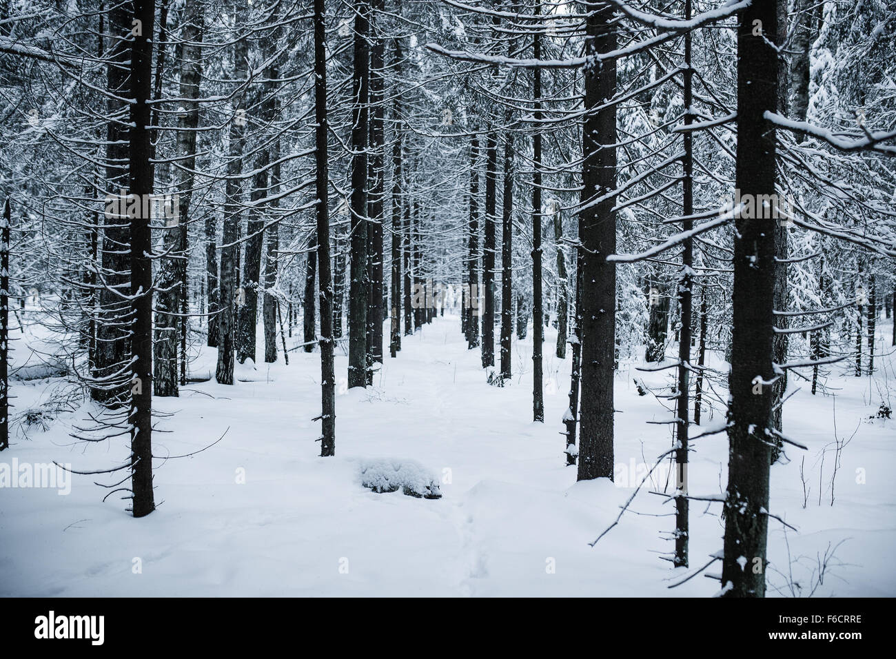 Lots of snow hi-res stock photography and images - Alamy