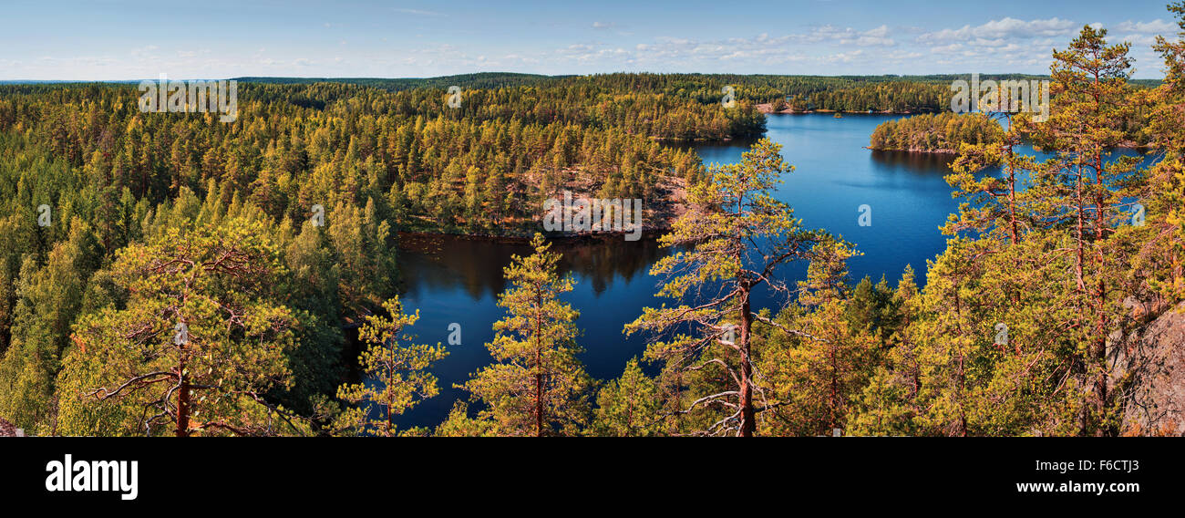 Finland forest hi-res stock photography and images - Alamy