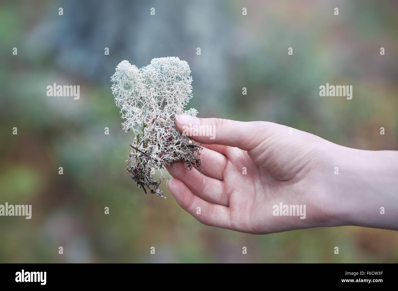 Woman take in hand hi-res stock photography and images - Alamy