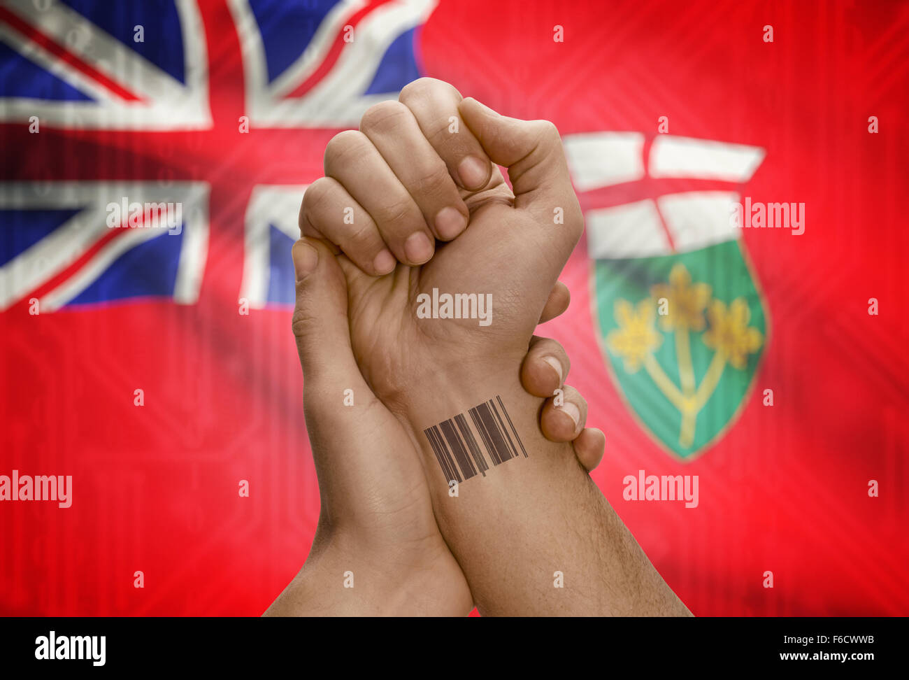 Barcode ID number tatoo on wrist of dark skin person and Canadian ...