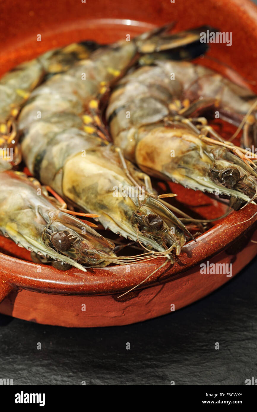 Raw unpeeled Giant Prawns on a red clay plate on a black slate background Stock Photo - Alamy
