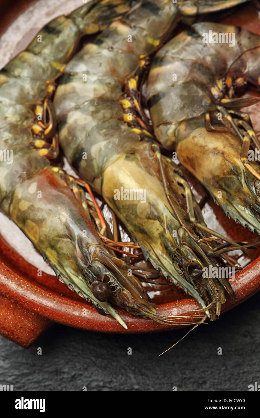 Raw unpeeled Giant Prawns on a red clay plate on a black slate background Stock Photo - Alamy