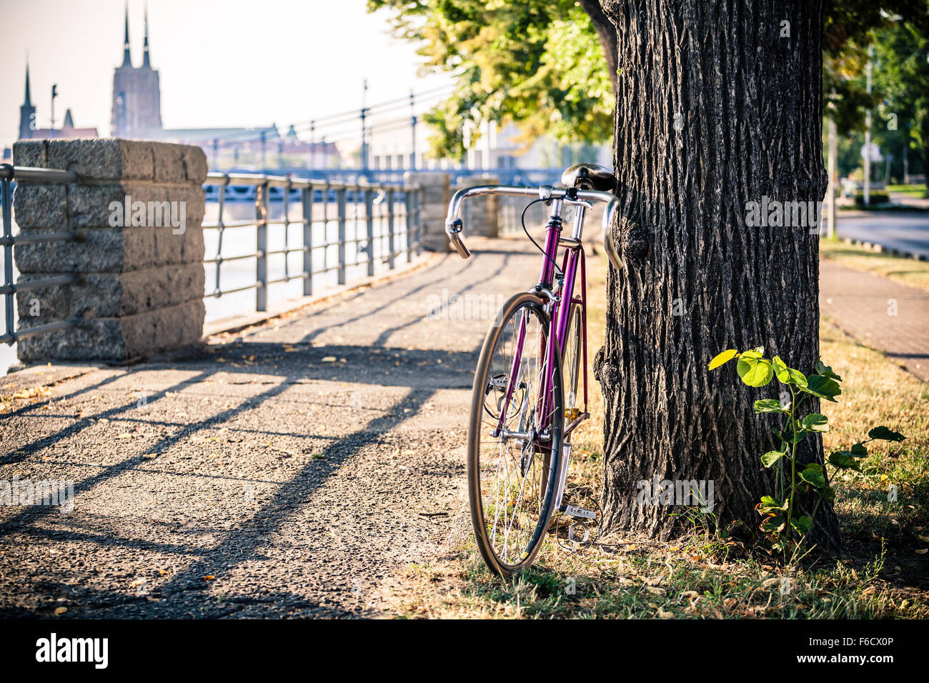 Fixed gear bike. Road bicycle on city street. Green park and trees ...