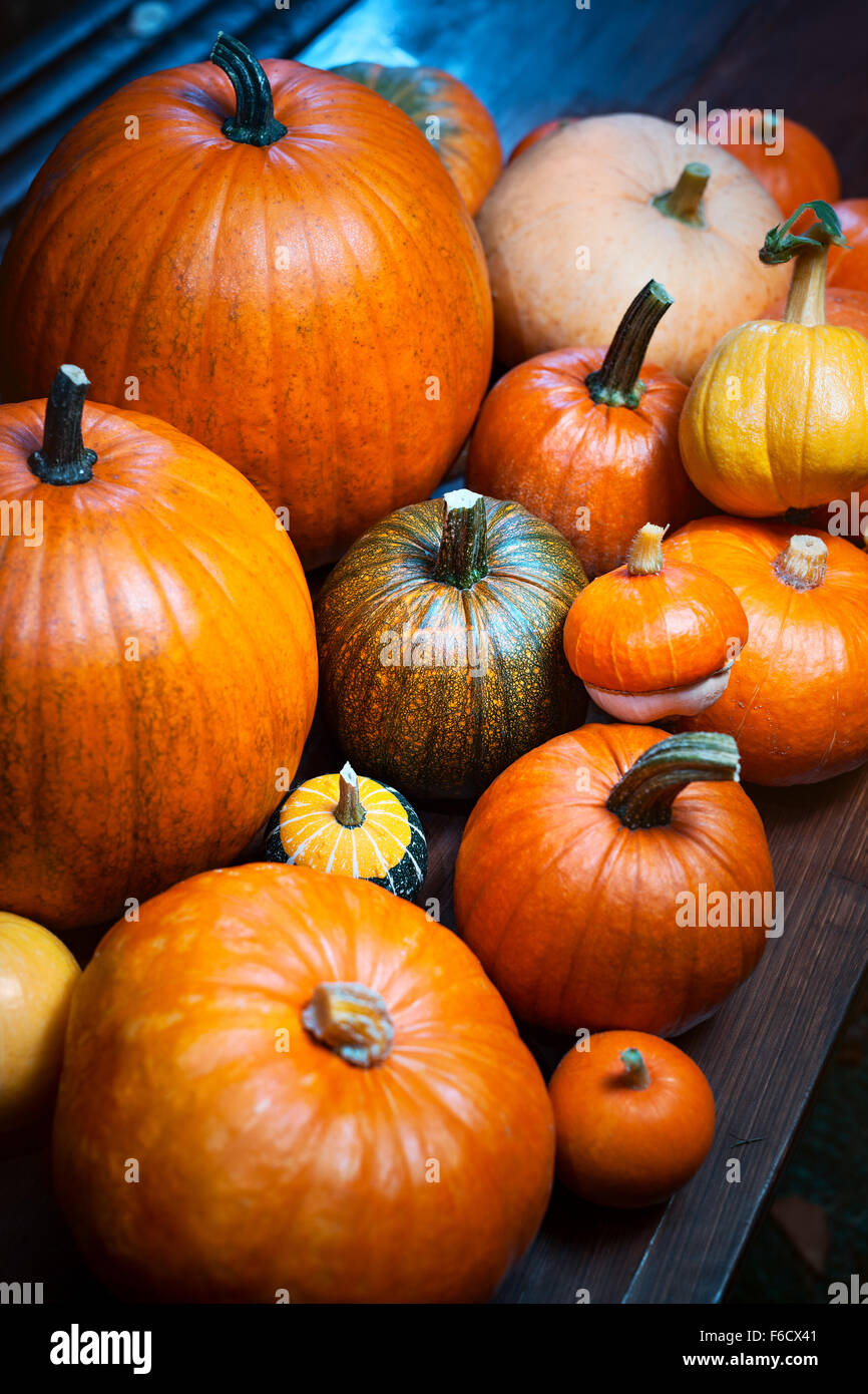 Harvest pumpkins hi-res stock photography and images - Alamy