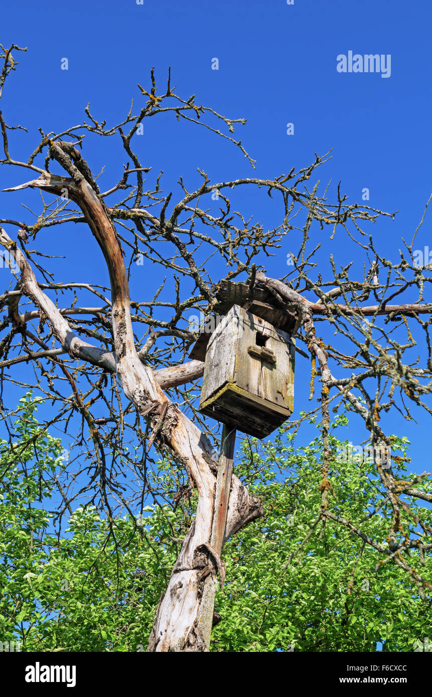 Bird house box in the garden Stock Photo - Alamy