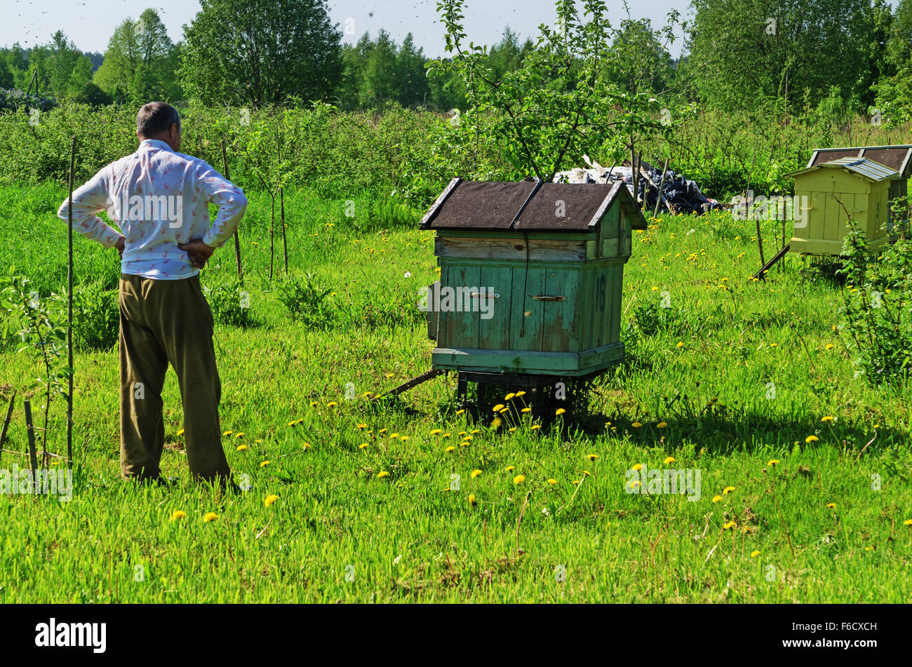 Propolis beehive off hi-res stock photography and images - Alamy