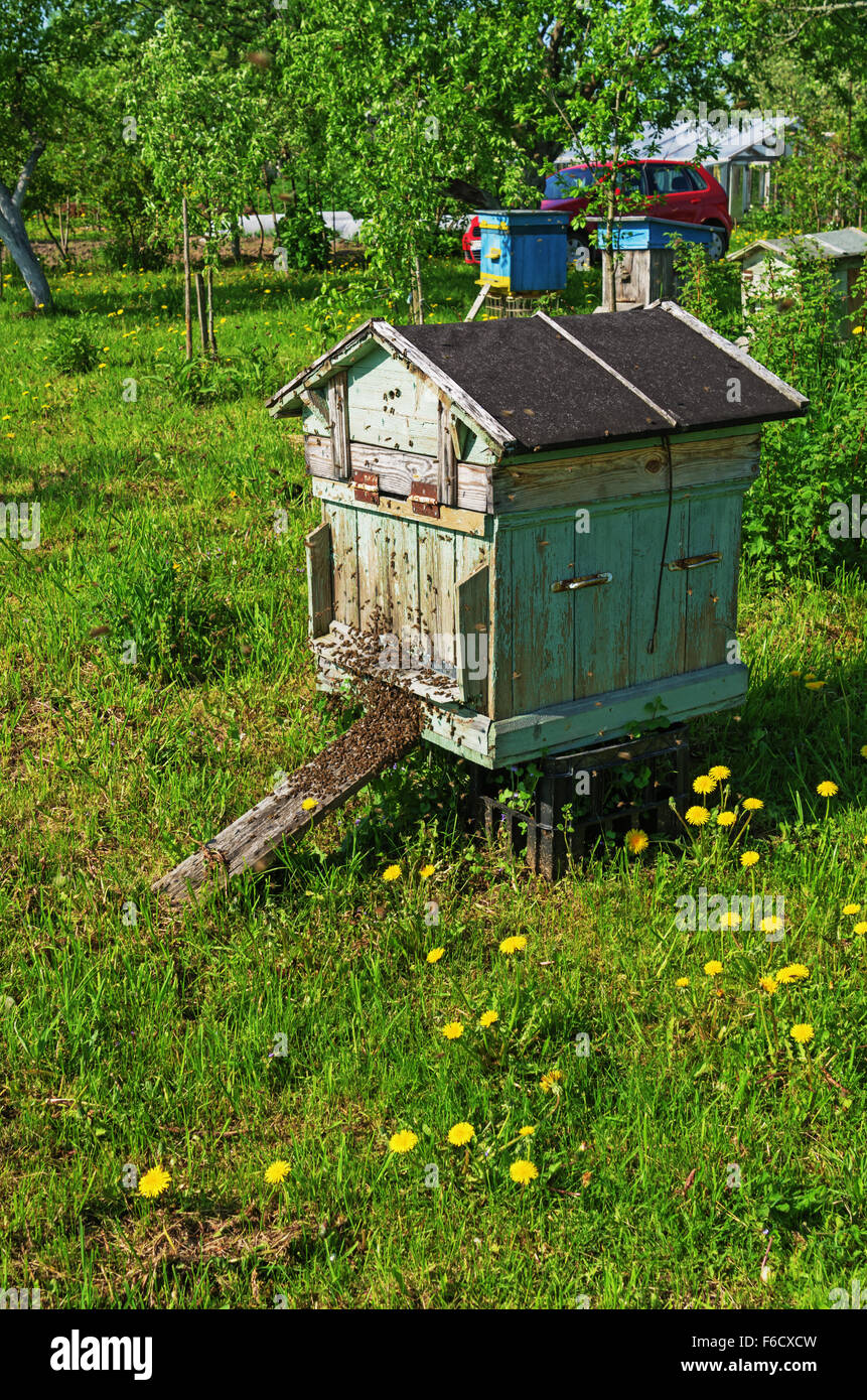 Propolis beehive off hi-res stock photography and images - Alamy