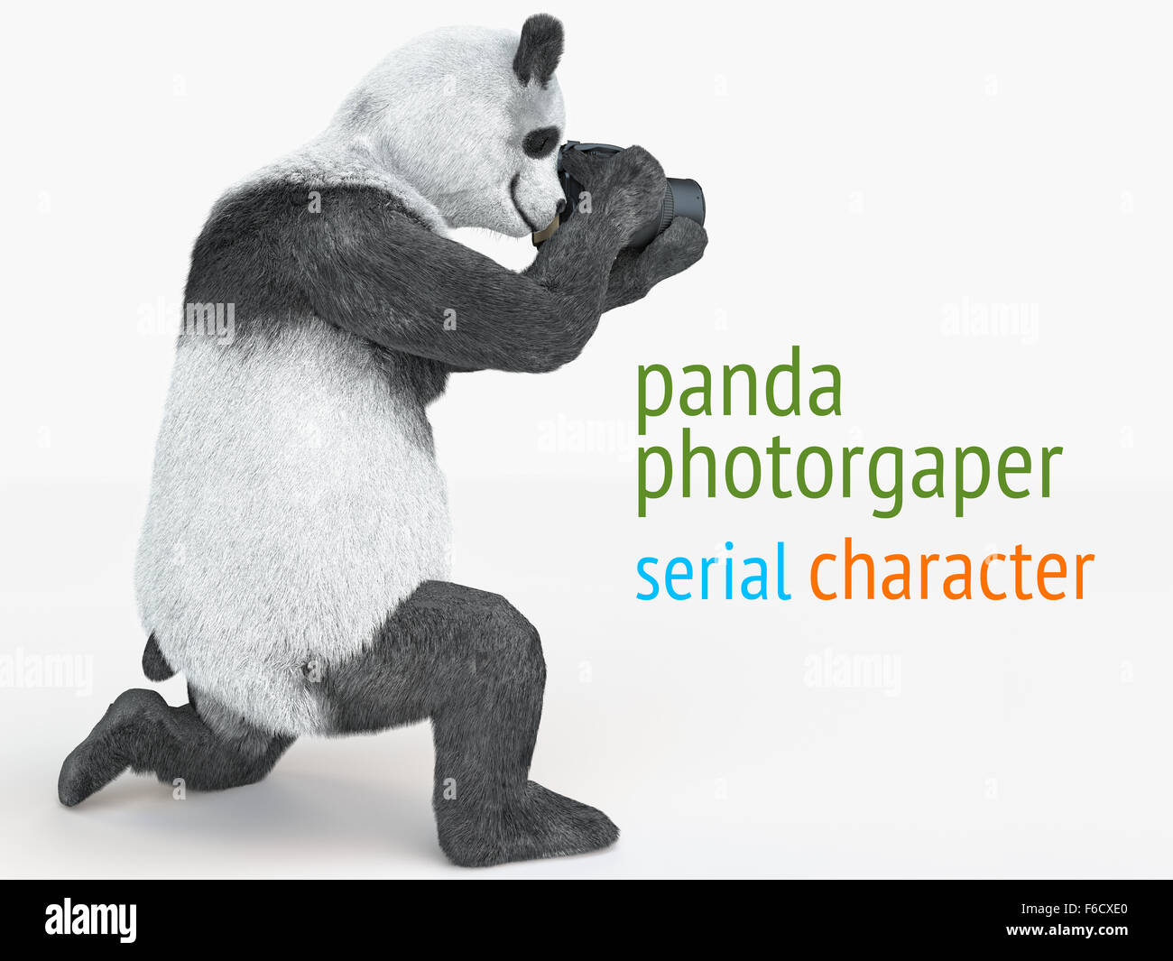 Animal picture camera hi-res stock photography and images - Alamy