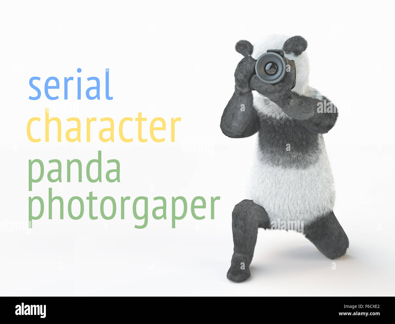 photographer panda teddy bear with camera sitting on one knee ...
