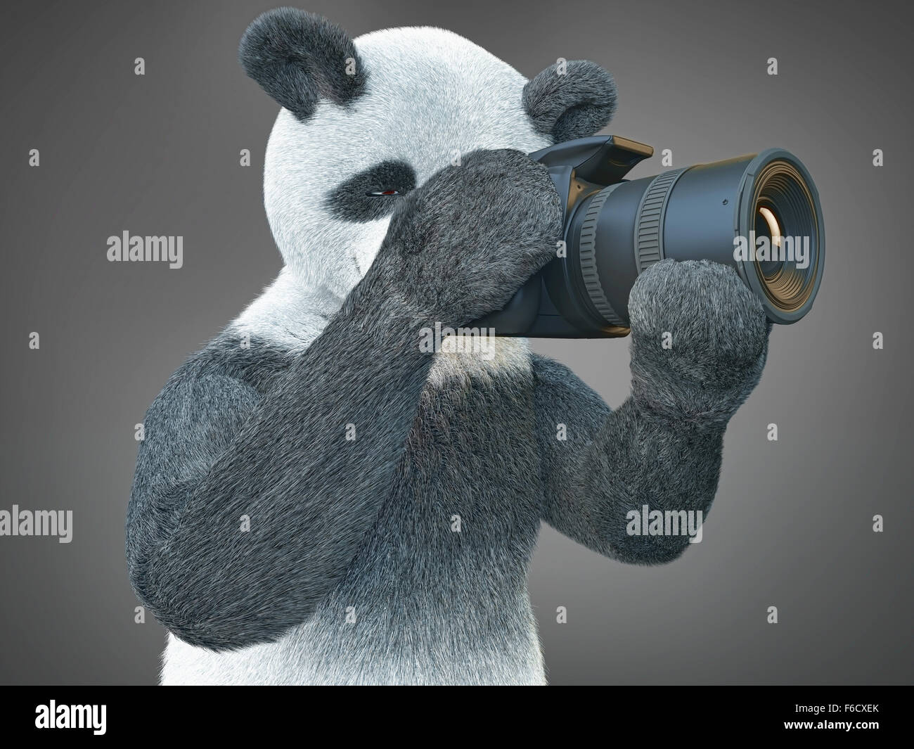 Animal panda character with camera in his paws looking at viewfinder ...