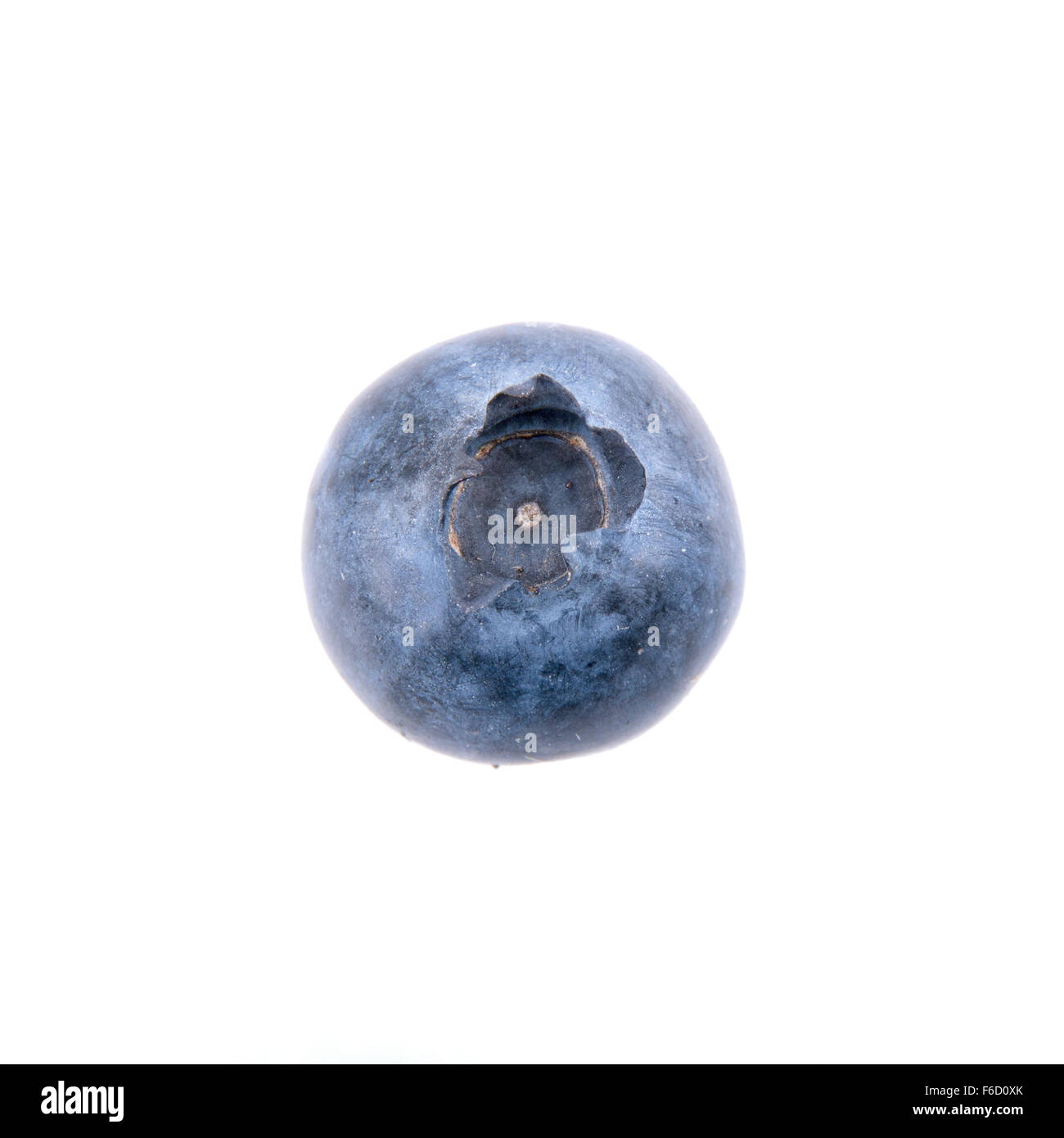 One blueberry isolated on white background Stock Photo - Alamy