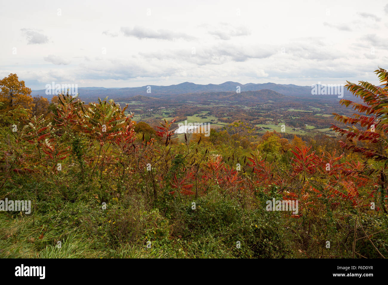 Fall color in Virginia Stock Photo - Alamy