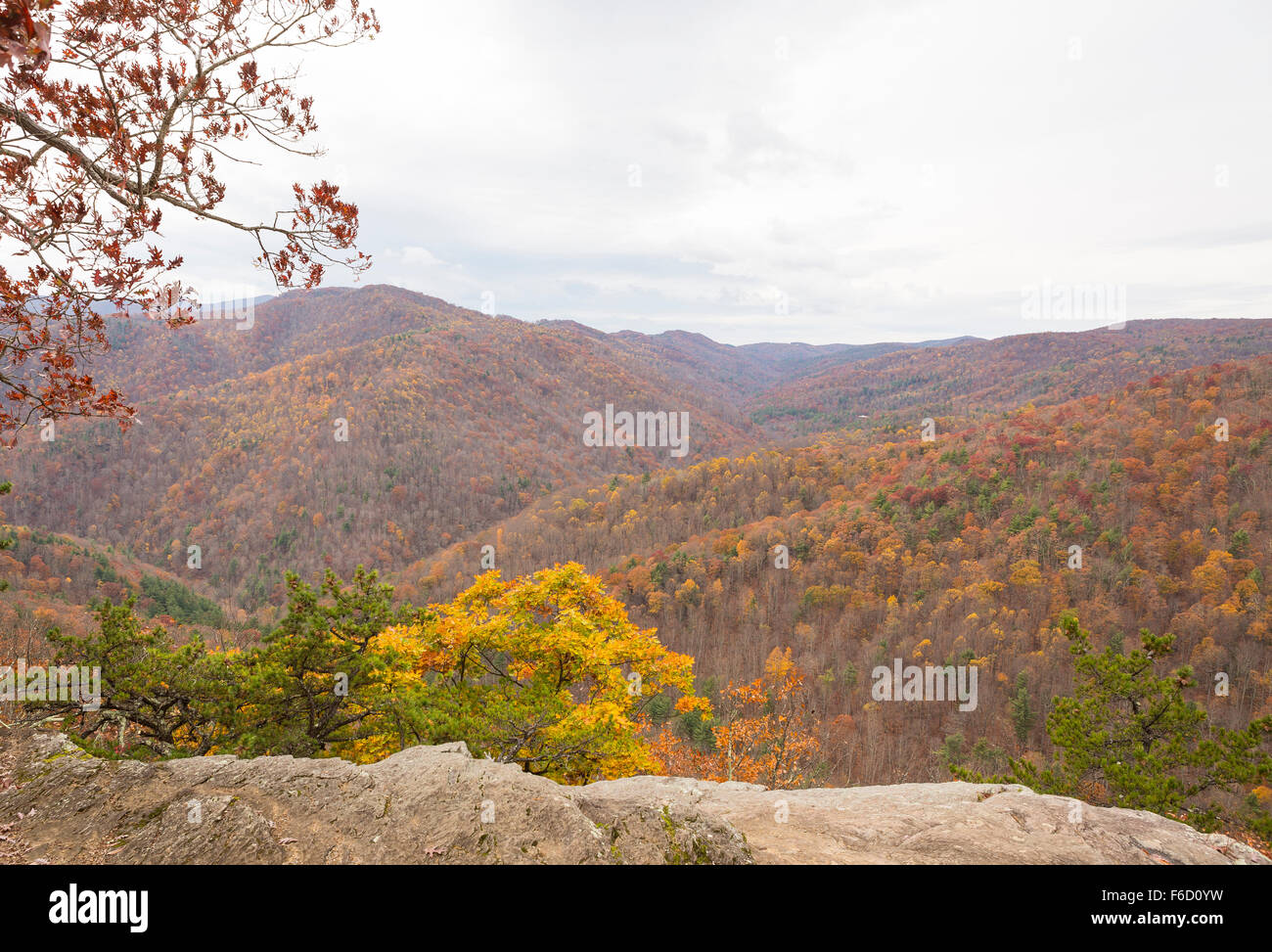 Virginia fall foliage hi-res stock photography and images - Alamy