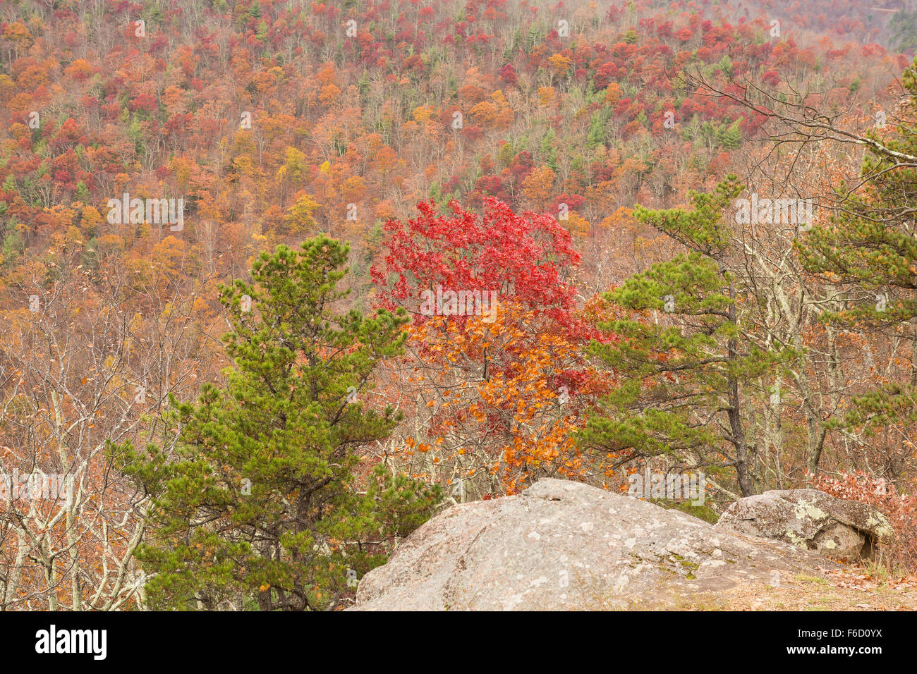 Virginia fall foliage hi-res stock photography and images - Alamy
