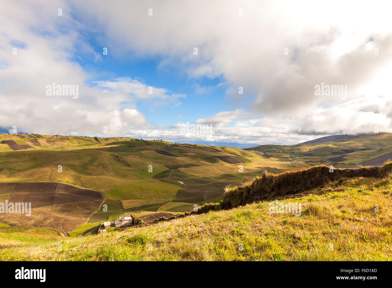 Terrace field hi-res stock photography and images - Alamy