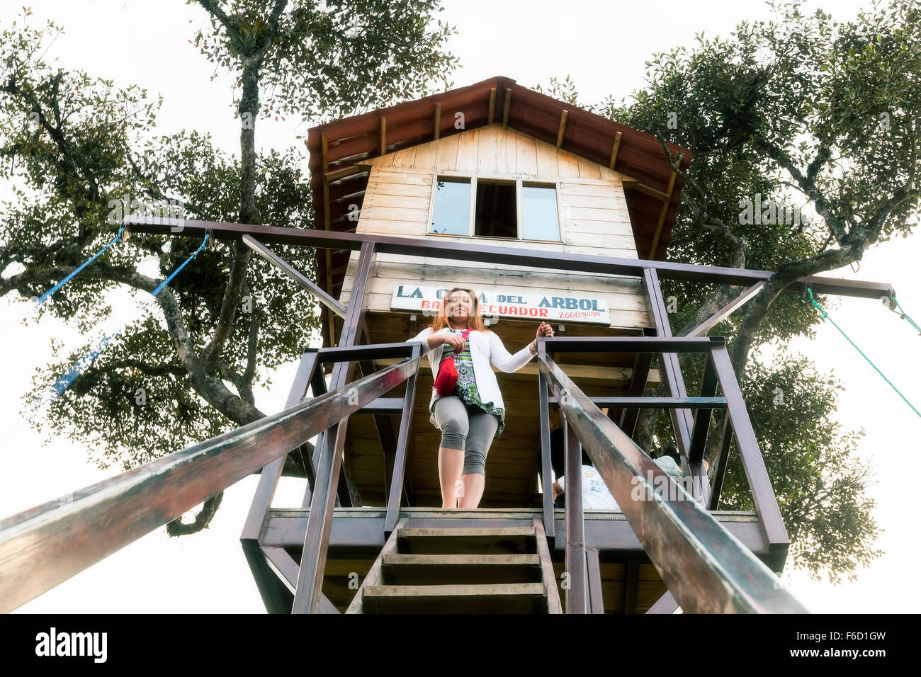 Beautiful Creative Handmade Wooden Tree House Which Are Hanged Two ...