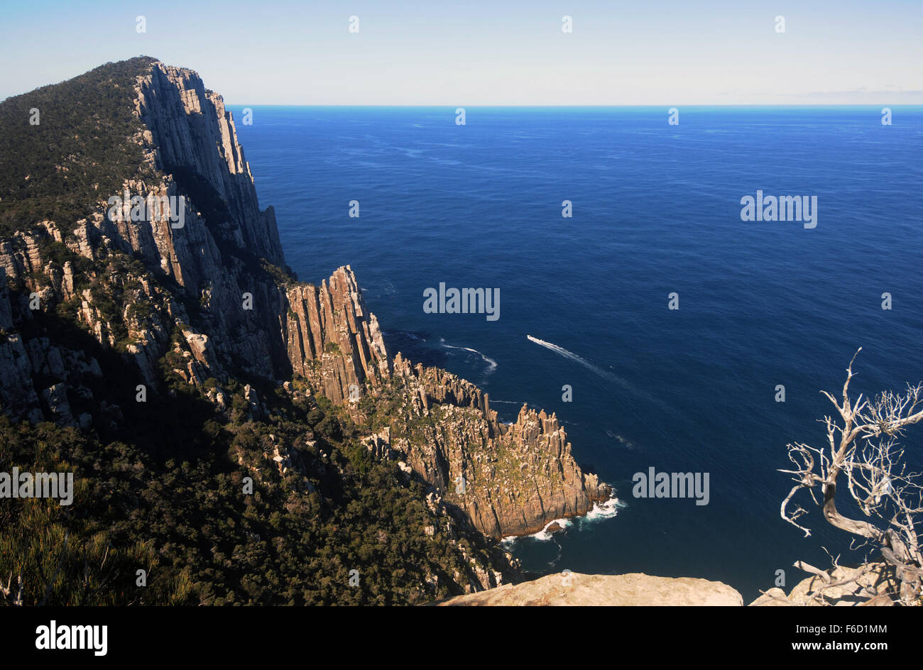 Spectacular views of cliffs of Cape Pillar, Three Capes Track, Tasman ...