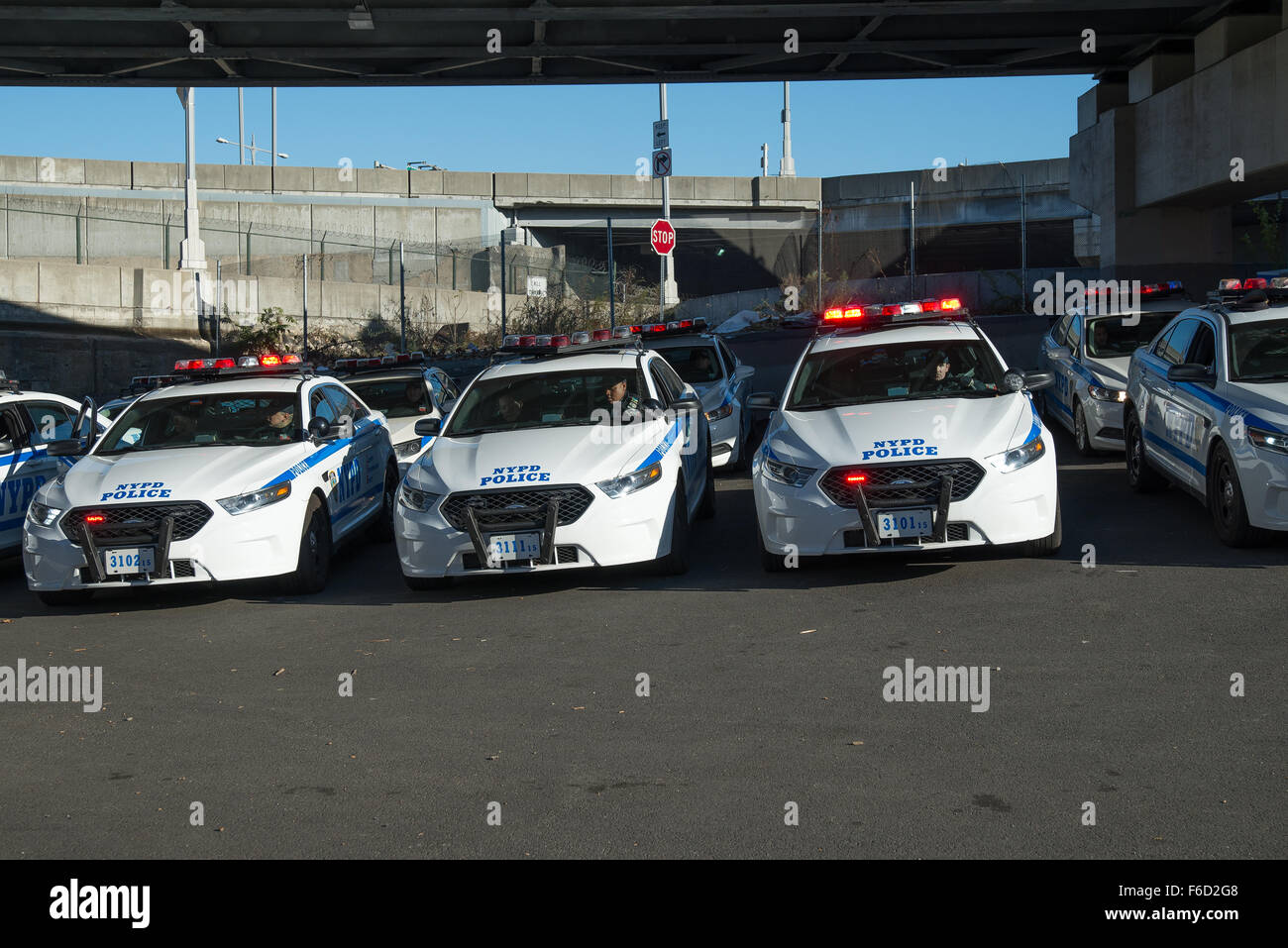 New York, United States. 16th Nov, 2015. A line of NYPD patrol cars ...