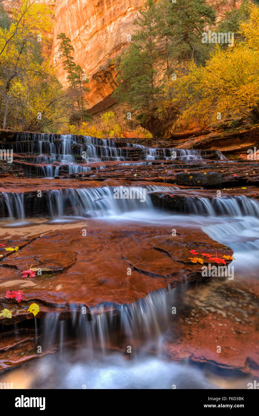 Zion national park hi-res stock photography and images - Alamy