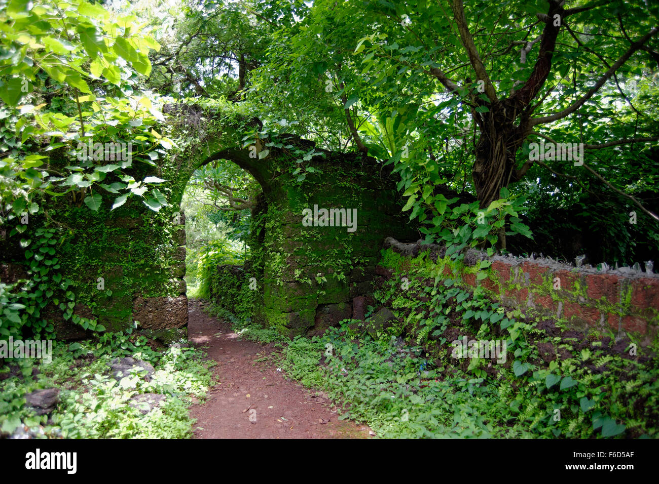 Sarjekot hi-res stock photography and images - Alamy