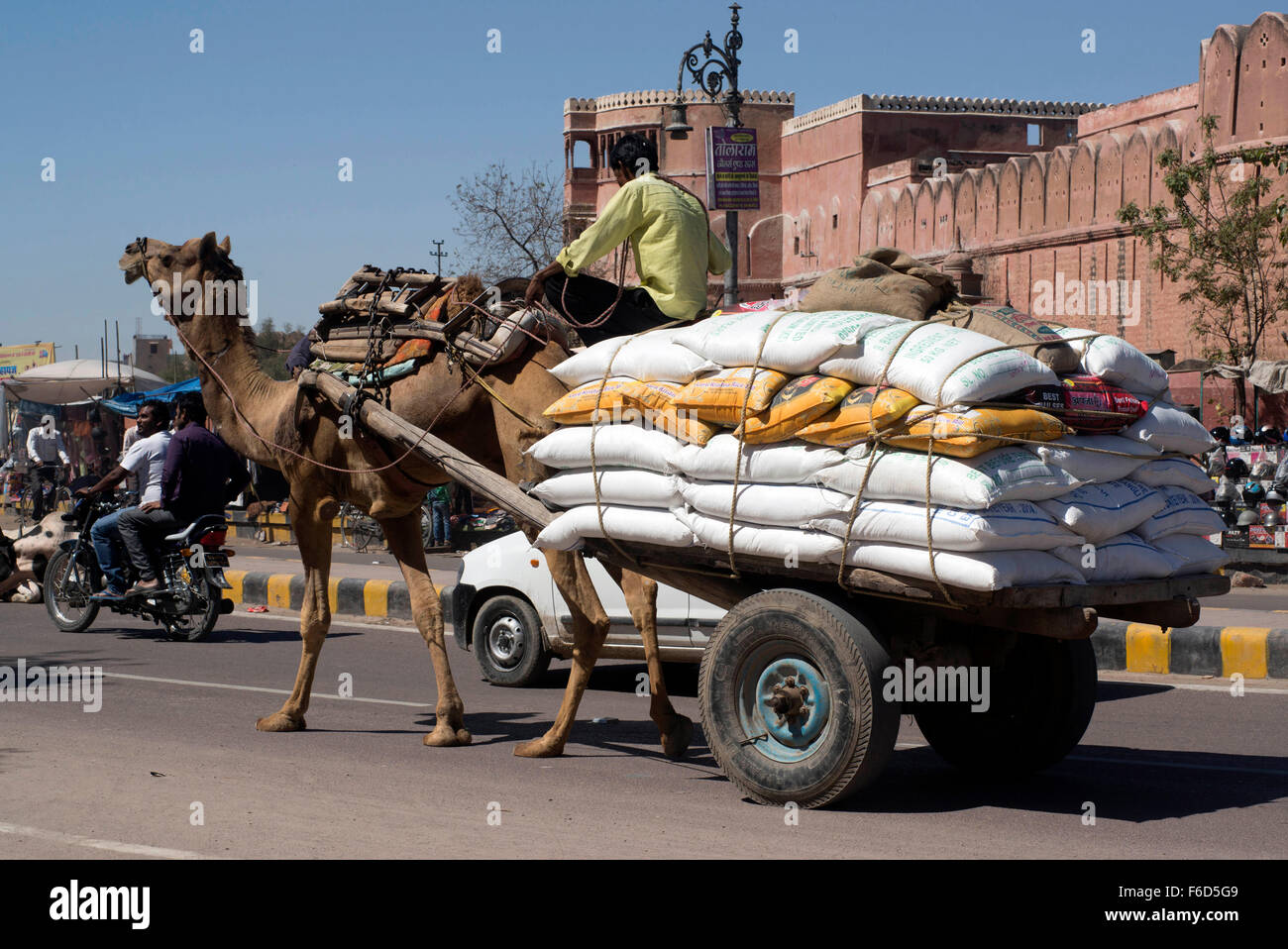 Camel cart in road junagarh fort, bikaner, rajasthan, india, asia Stock ...