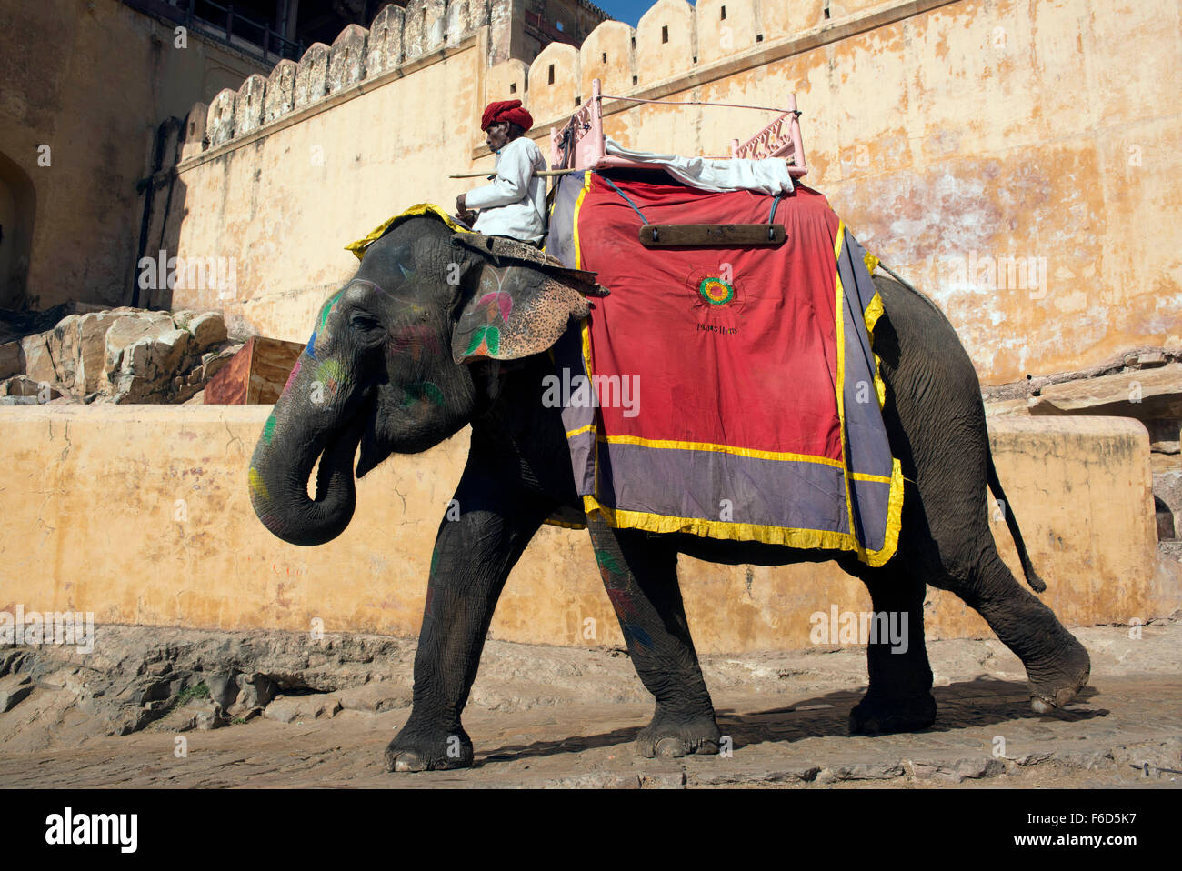 Indian man sitting on elephant hi-res stock photography and images - Alamy