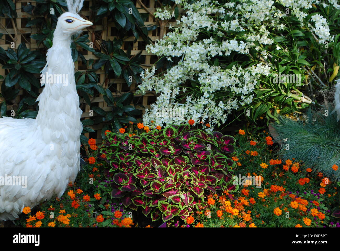 Biodiversity display gardens hi-res stock photography and images - Alamy