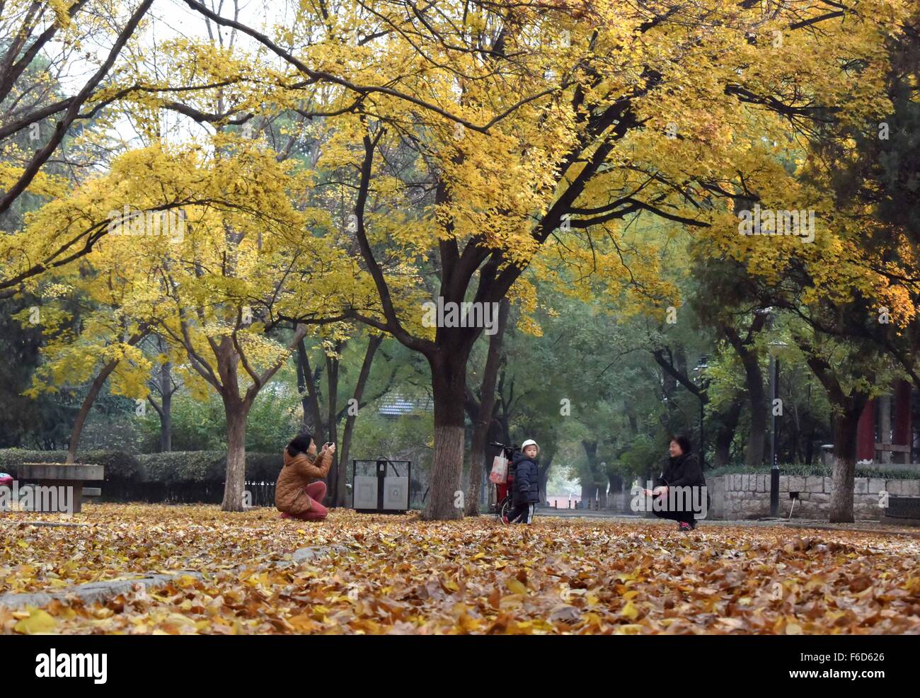 Jinan, China's Shandong Province. 17th Nov, 2015. People enjoy the ...